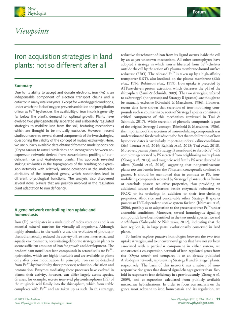 Grillet 2019 - Iron Acquisition Strategies in Land Plants - Not So Different After All | PDF ...