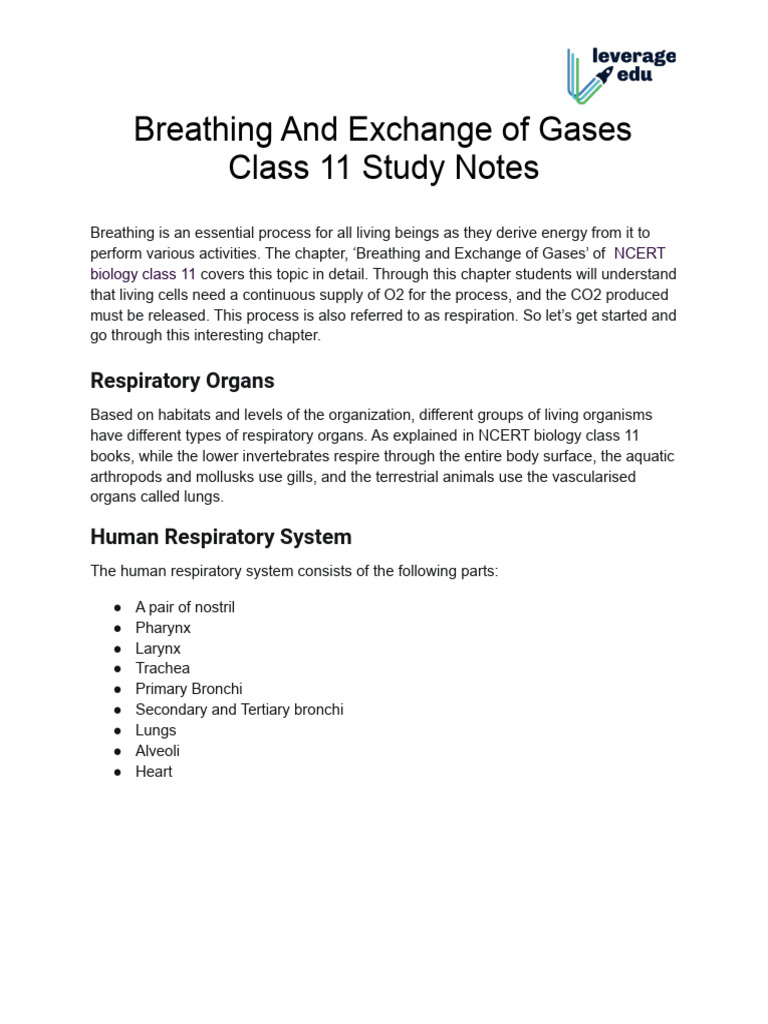 Breathing And Exchange Of Gases Class 11 Study Notes 1 Pdf