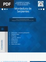 Indicaciones de Suero Antiviperino | PDF | Rtt | Especialidades Medicas