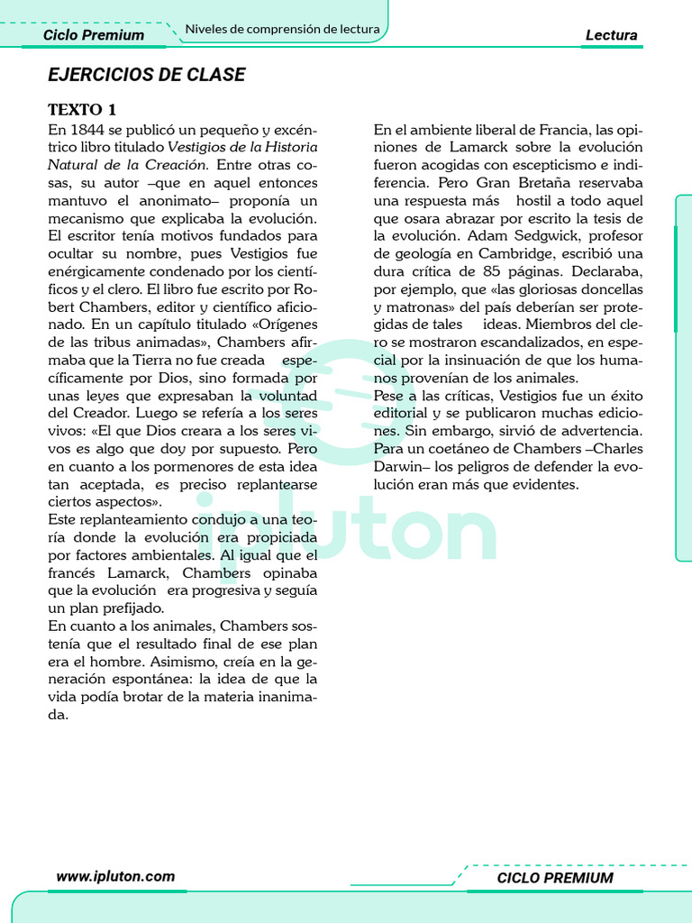 Niveles de Comprensión de Lectura 2 | PDF | Ruta de la Seda | Evolución