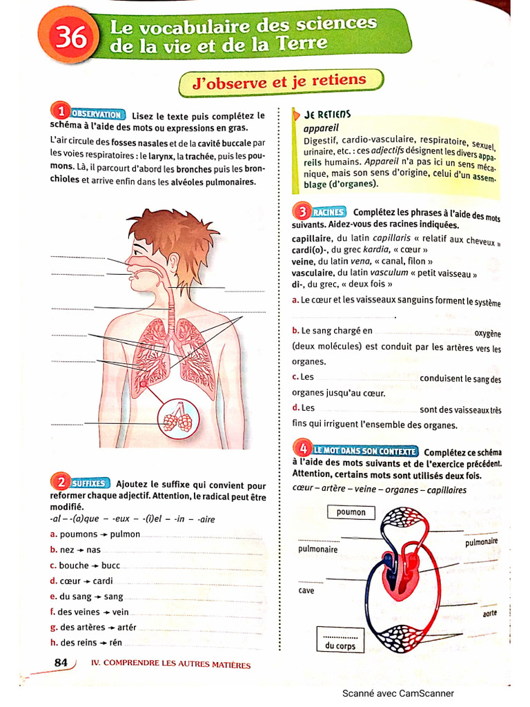 Vocabulaire Matières en Français LYCEE | PDF