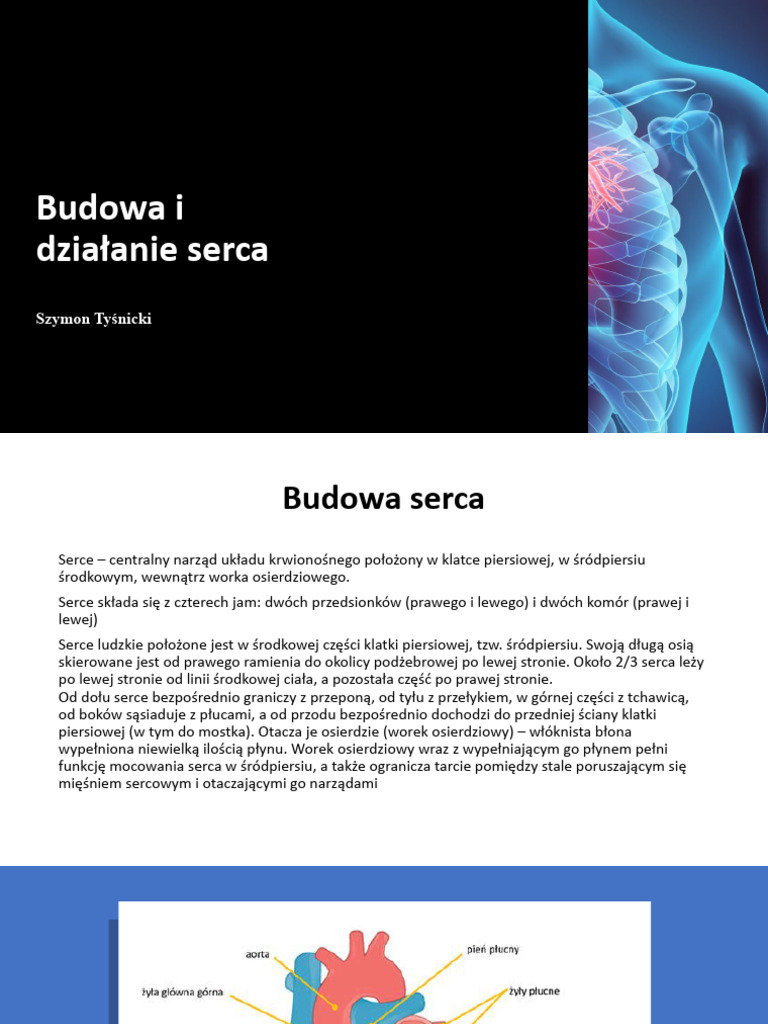 Biologia SzT Serce — Kopia | PDF