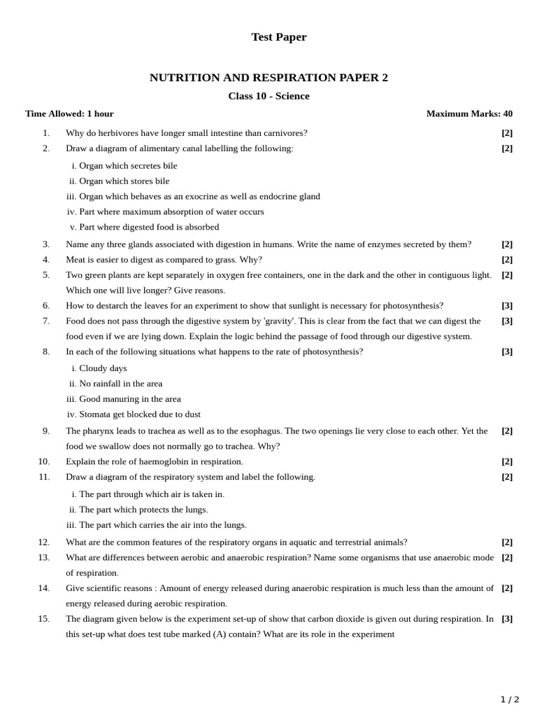 Nutrition and Respiration Paper 2 | PDF | Cellular Respiration | Digestion