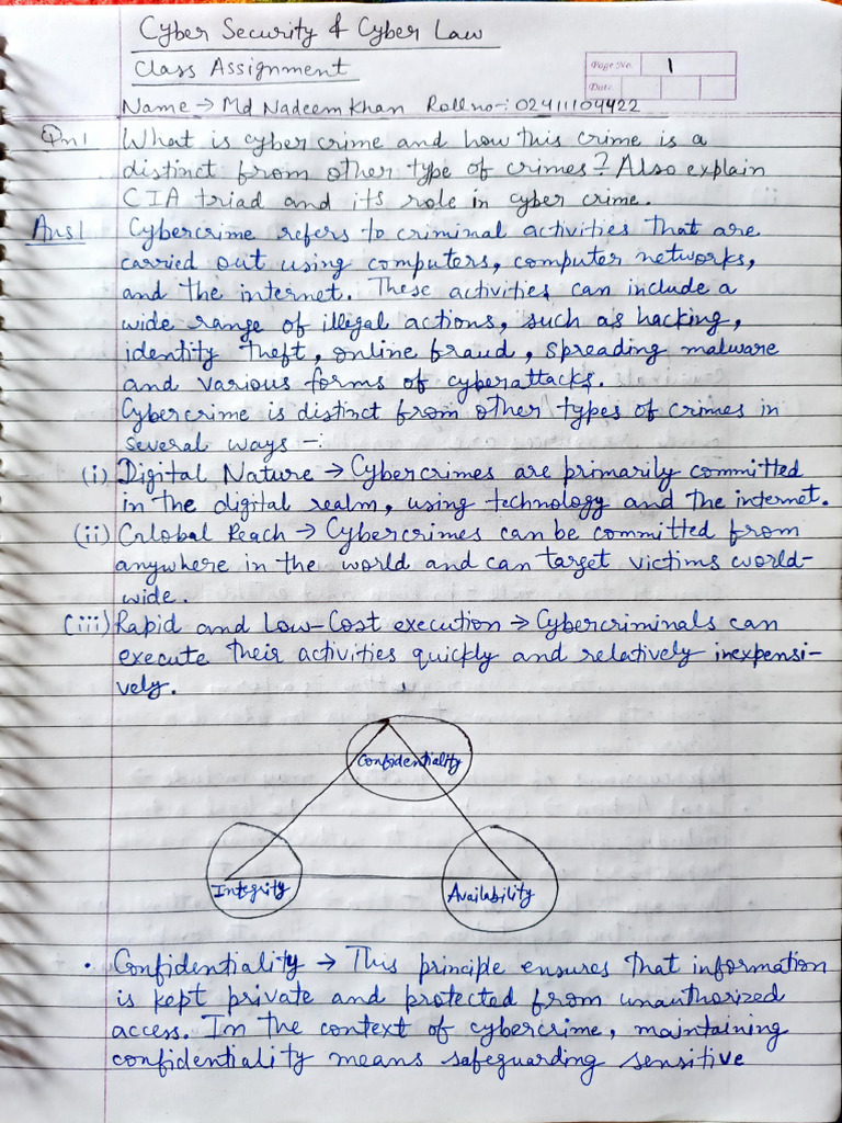 cyber security and law assignment | PDF