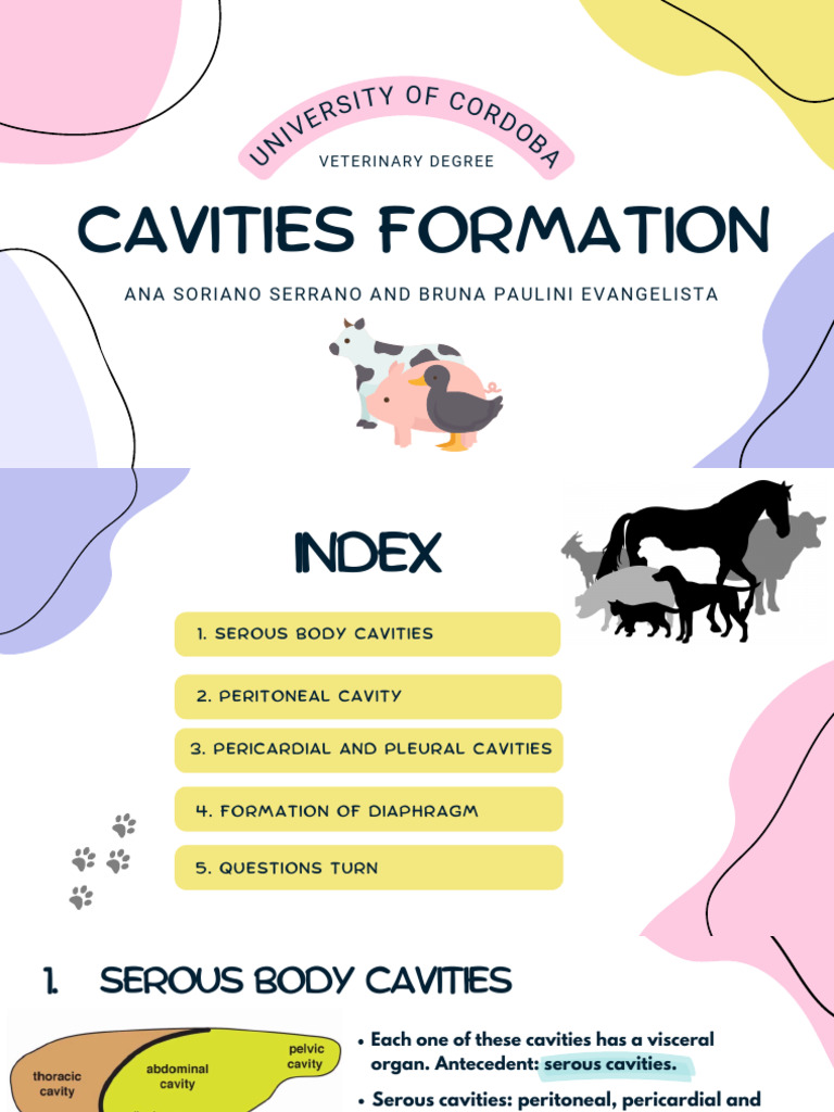 CAVITIES FORMATION - Ana Sorriano and Bruna Paulini | PDF | Peritoneum ...
