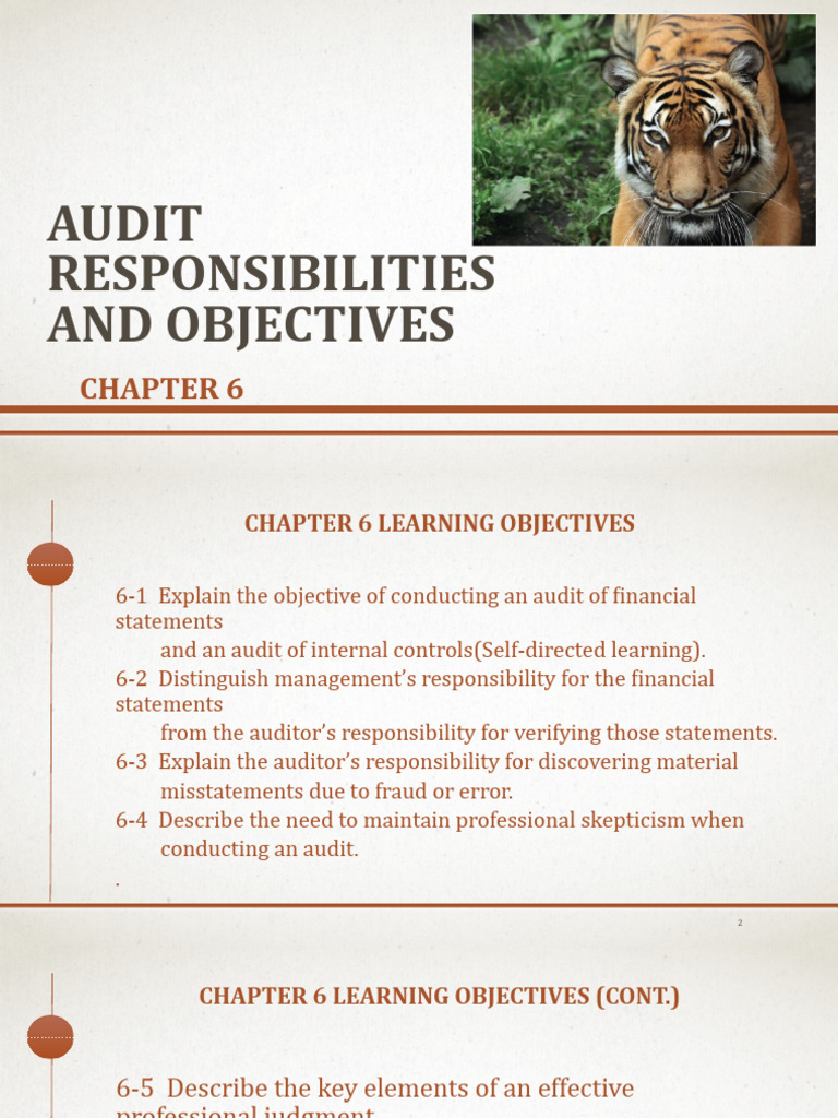 Lecture 2 Audit Obj _ responsibilities | PDF