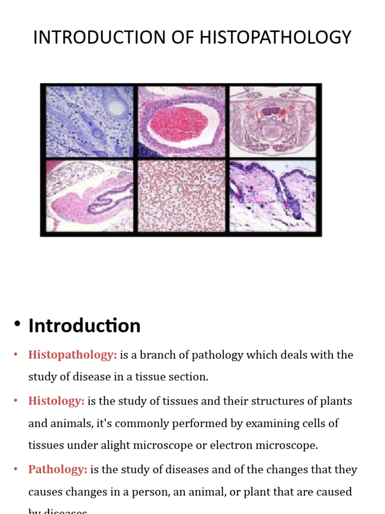 Introduction to Histopathology Basics | PDF | Self-Improvement ...