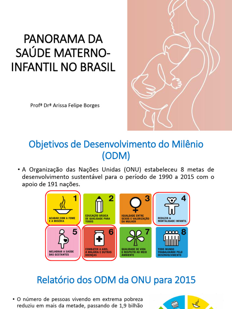 Saúde Materno-Infantil no Brasil: Desafios e Avanços | PDF | Objetivos ...