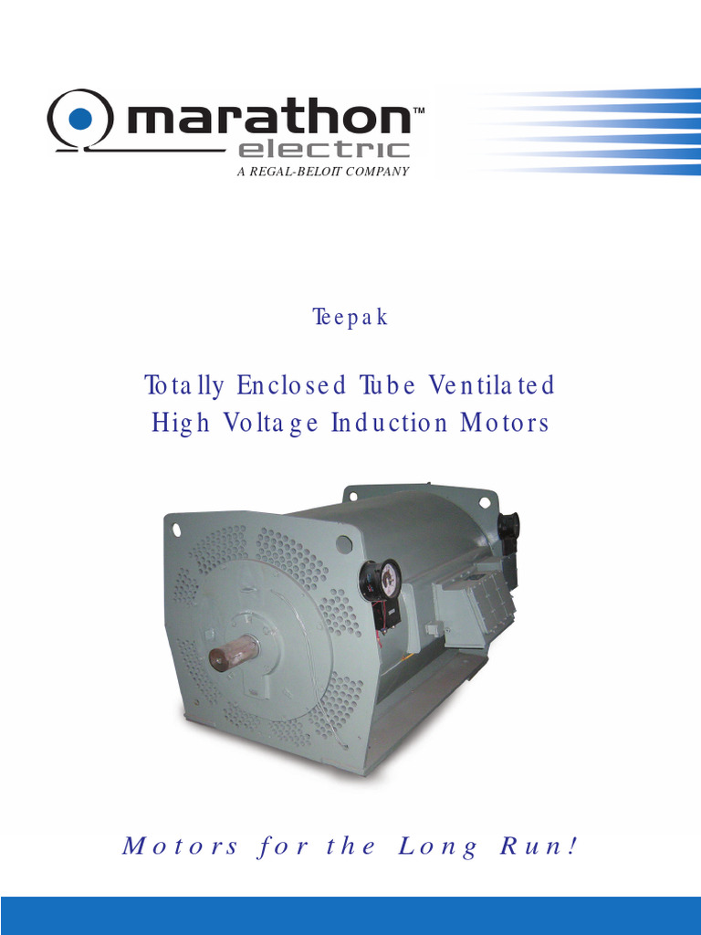 TETV Motor | PDF | Electric Motor | Bearing (Mechanical)