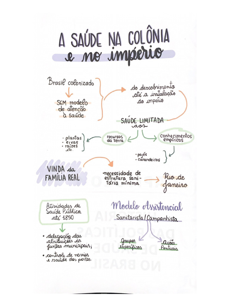 Mapas Mentais - História Das Políticas de Saúde No Brasil | PDF