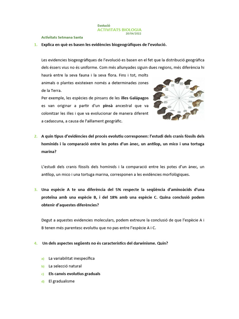 Activitats Tema Evolució 2n de Batxillerat | PDF