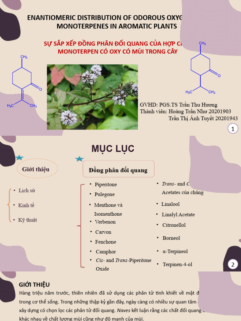Enantiomeric Distribution of Odorous Oxygenated Monoterpenes in Aromatic Plants | PDF