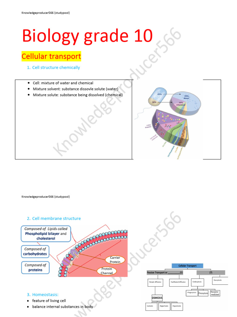 Biology Grade 10 Cellular Transportation | PDF