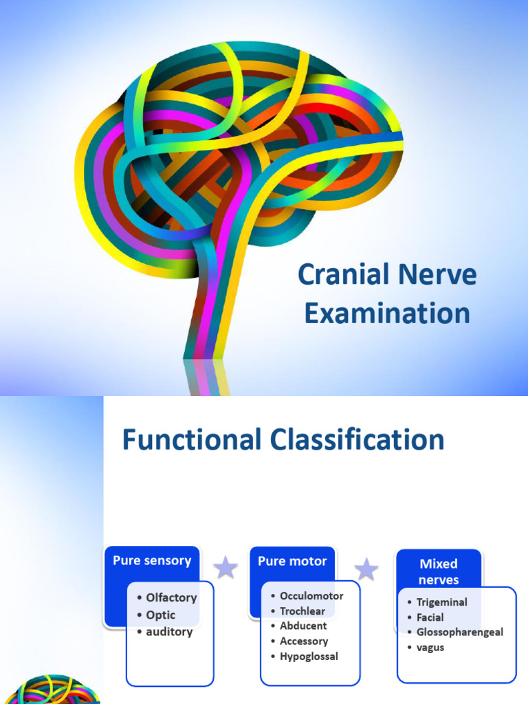 Cranial Nerve Examination 231109 191528 | PDF | Human Head And Neck ...