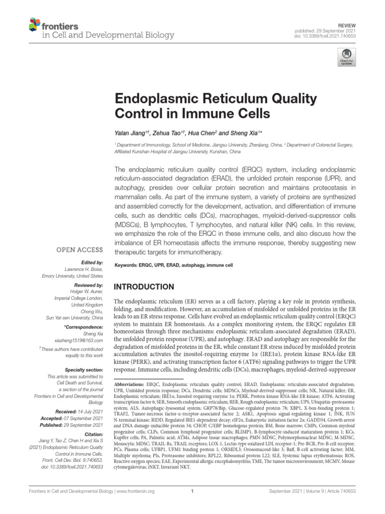 2021 ER Quality Control in Immune Cells | PDF | Endoplasmic Reticulum | Macrophage