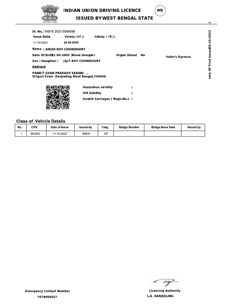 Fake DL | PDF