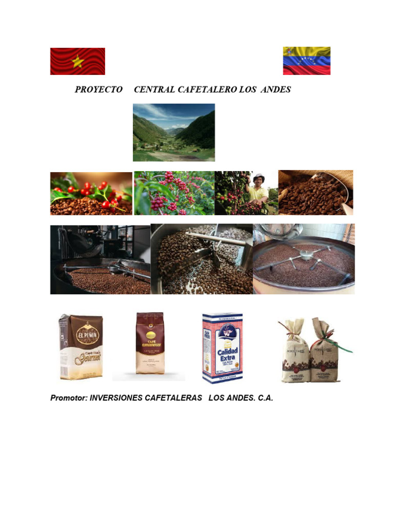 Proyecto Javier | PDF | café | Producto (Negocio)