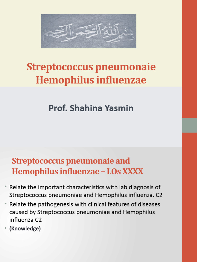 Strep Pneumoniae and H Influenza Microbiology | PDF