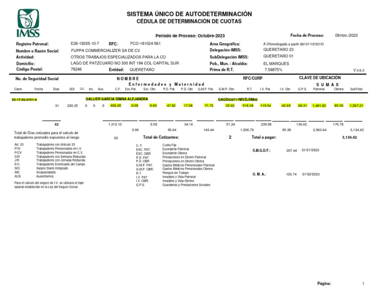 Cedula IMSS. CYVSA SSC - Queretaro | PDF | Economias | Labor