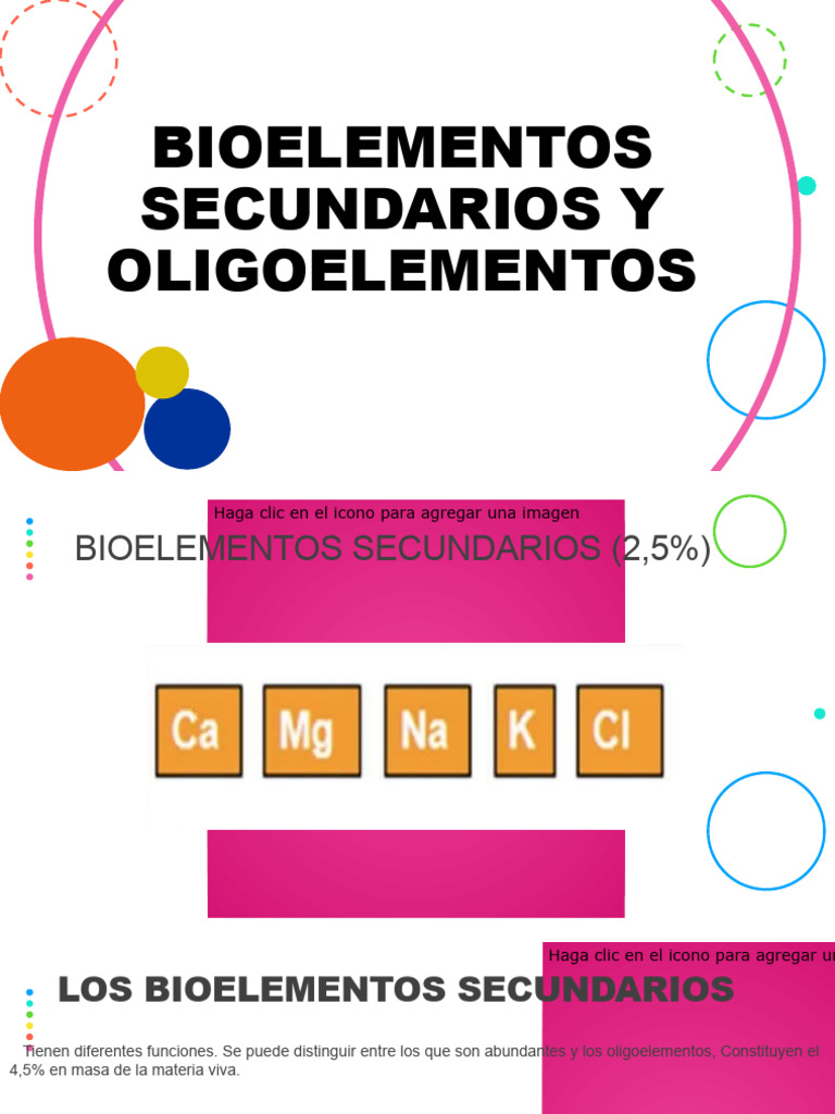 BIOELEMENTOS SECUNDARIOS Y OLIGOELEMENTOS | PDF | Calcio | Sodio