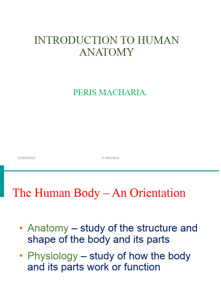 H Anatomy Introduction Pdf Anatomical Terms Of Motion Anatomical