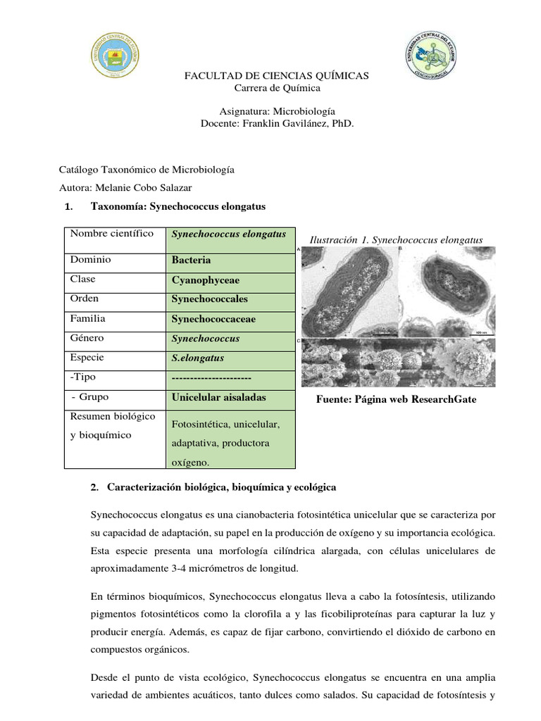 Catálogo de Cianobacterias | PDF