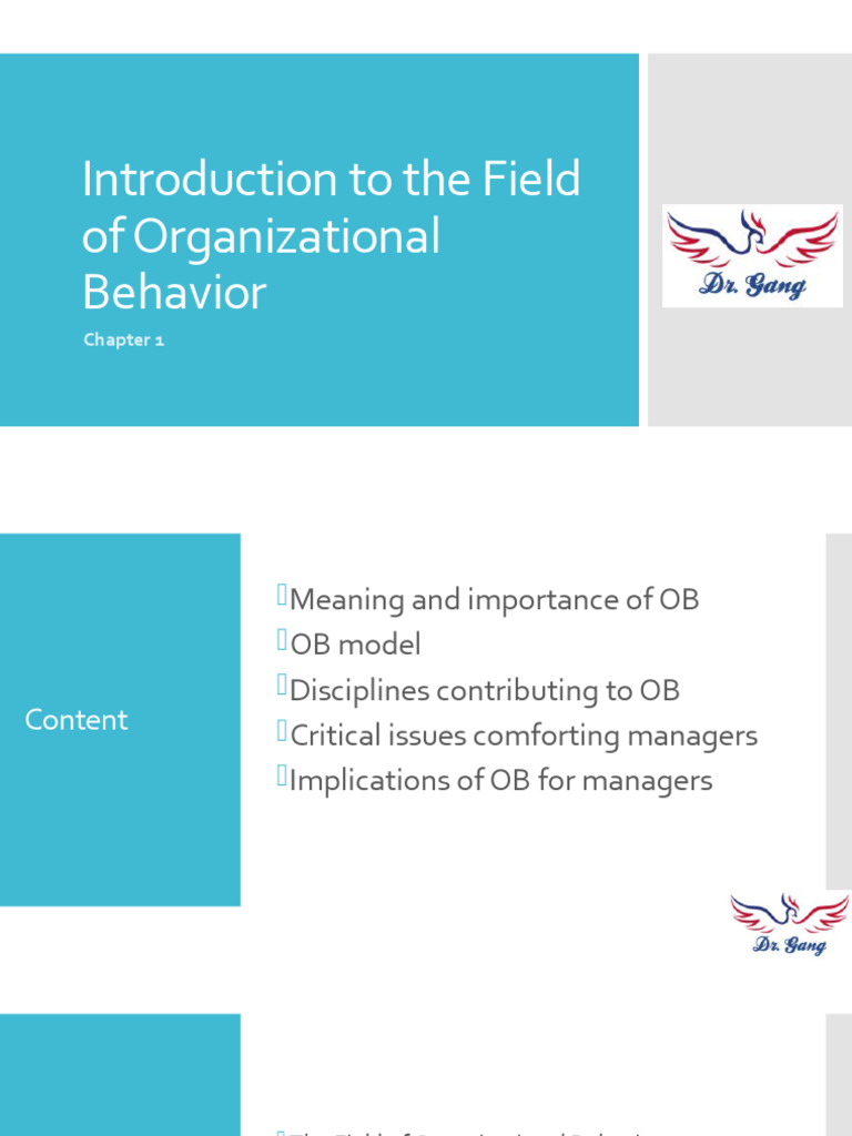 Chapter 1 OB | PDF | Organizational Behavior | Behavior