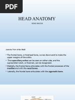 Skull Anatomy Worksheet | PDF | Skull | Anatomy