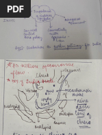 GS2 - Toppers - Handwritten - Upsc - Pyq - Ans - Till 2022RP | PDF