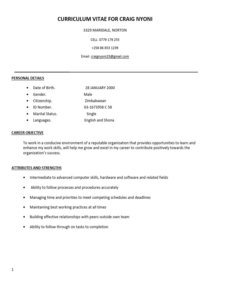 Craig Nyoni CV | PDF | Computer Programming | Software Engineering