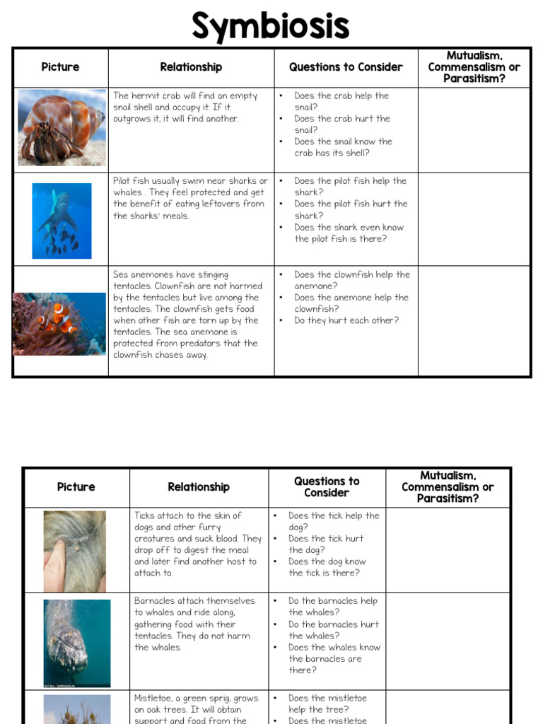 SymbiosisPracticeWorksheetMutualismCommensalismandParasitism 1 | PDF
