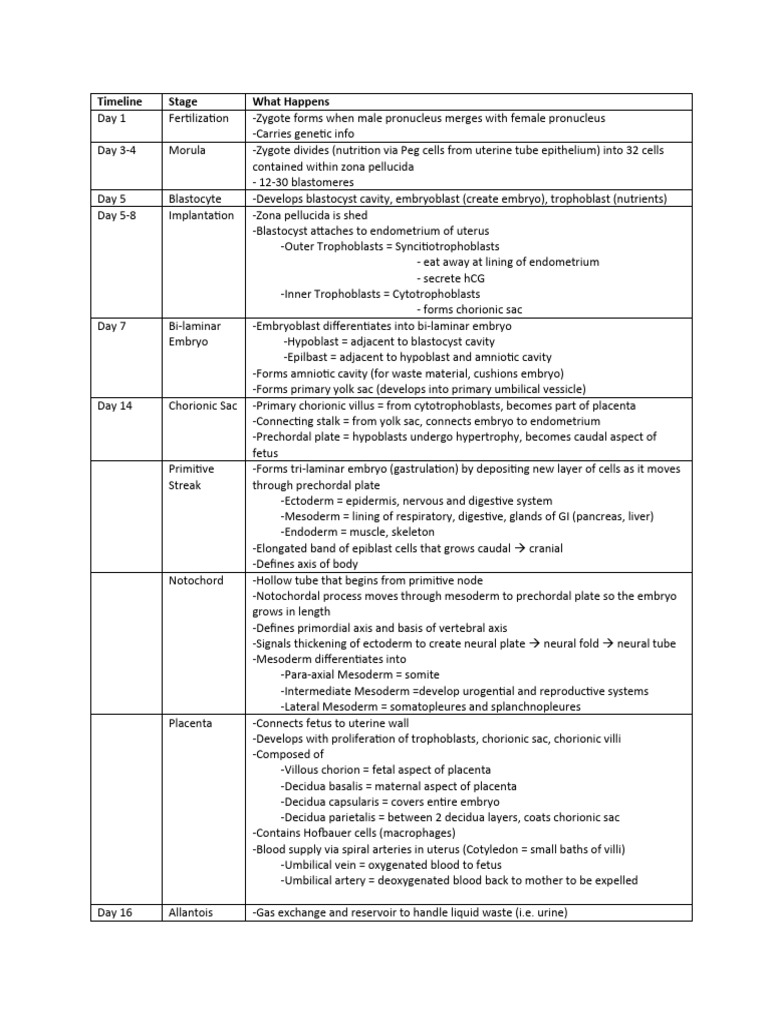 Embryology Timeline | PDF | Embryo | Reproduction