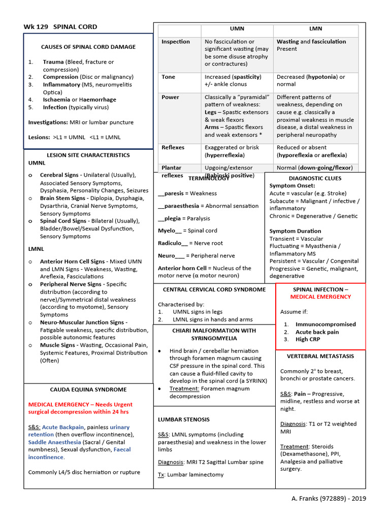 129_Spinal Cord | PDF
