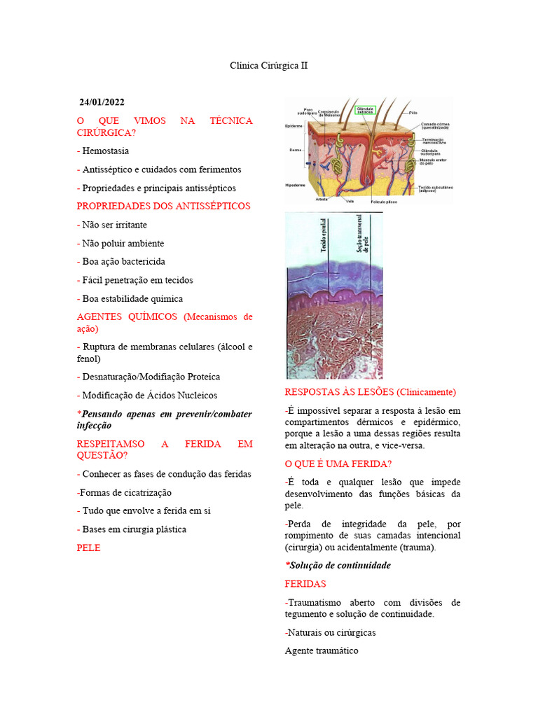 AB1 Clínica Cirúrgica II | PDF