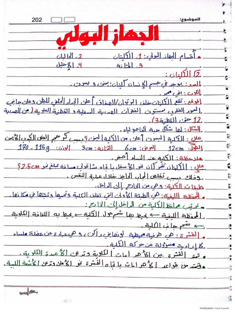 الجهاز البولي | PDF