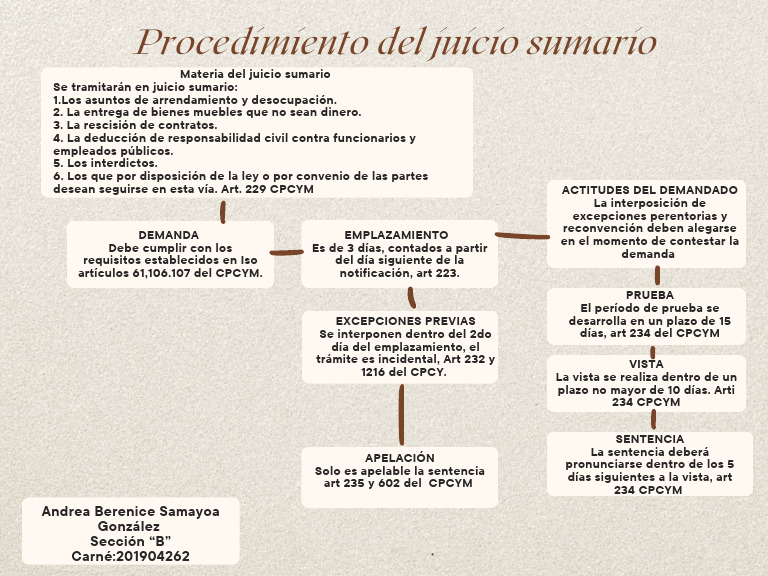 Procedimiento Del Juicio Sumario | PDF | Justicia | Crimen y violencia