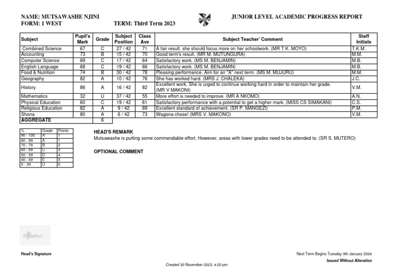 Mutsawashe Njini's Term 3 Report 2023 | PDF | Science