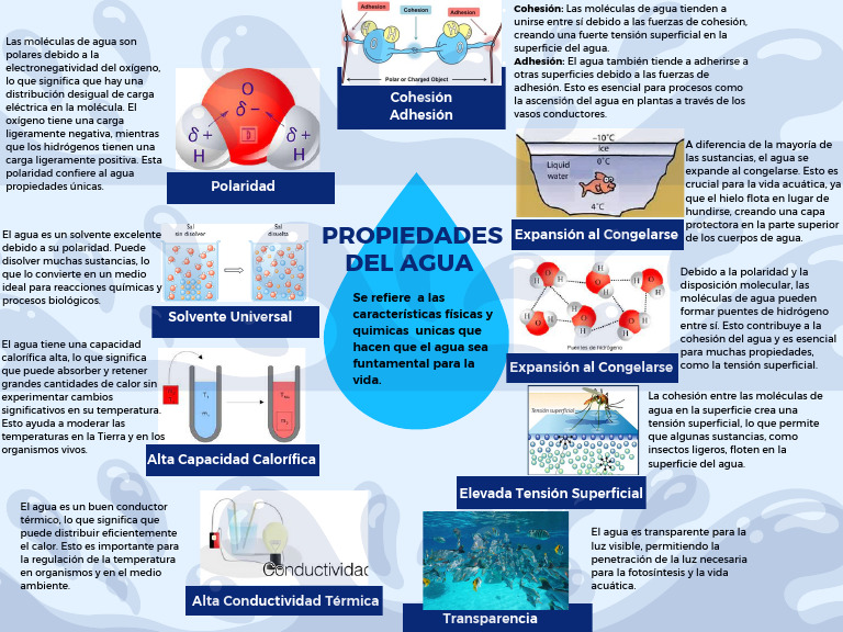 Propiedades Del Agua | PDF