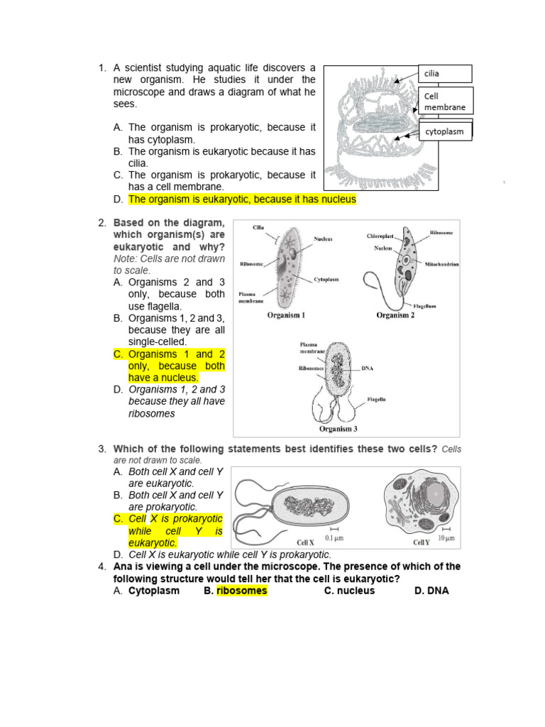 Biology Reviewer | PDF | Cell (Biology) | Prokaryote