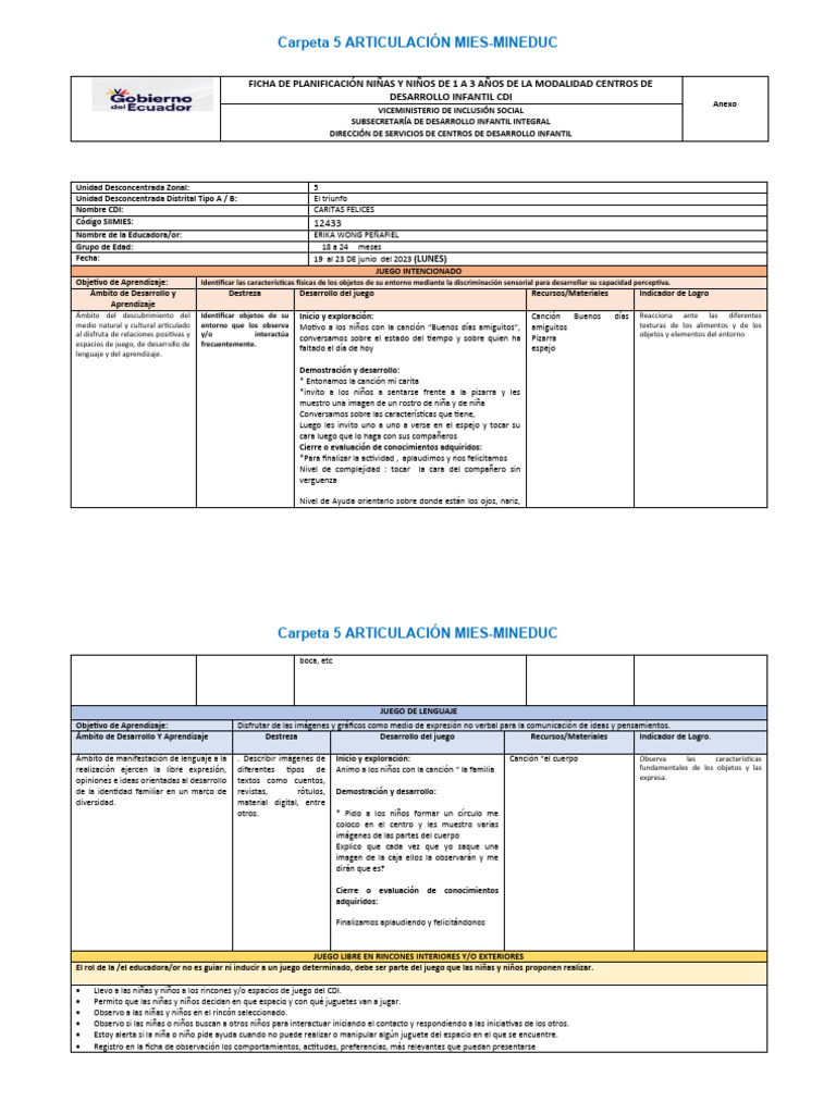 Planificacion Sentidos | PDF | Aprendizaje | Evaluación