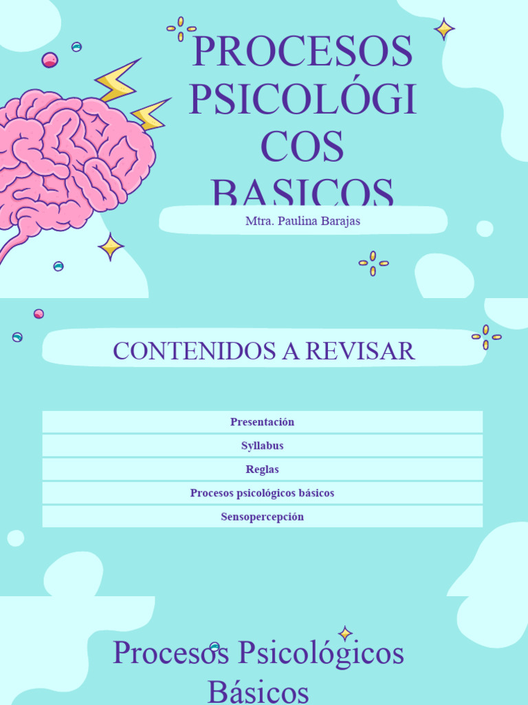 Procesos Psicológicos Básicos Clase 1 | PDF | Percepción | Percepción visual