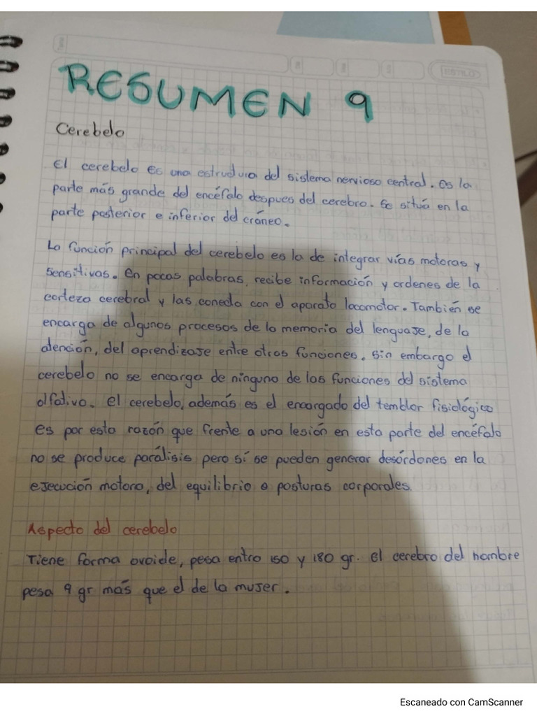 Resumen Semana 9 | PDF