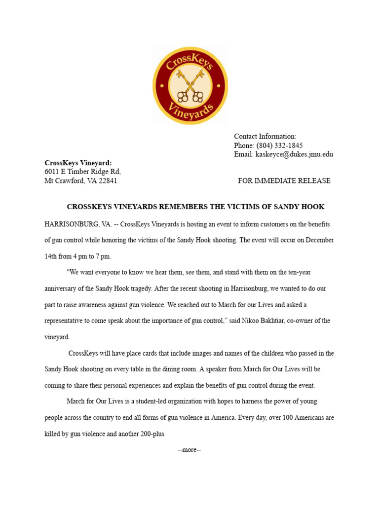 News Release Sandy Hook Final | PDF | Sandy Hook Elementary School Shooting | Aggression