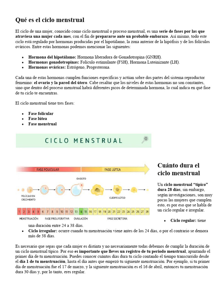 Qué Es El Ciclo Menstrual | PDF | Ciclo menstrual | Hormona luteinizante