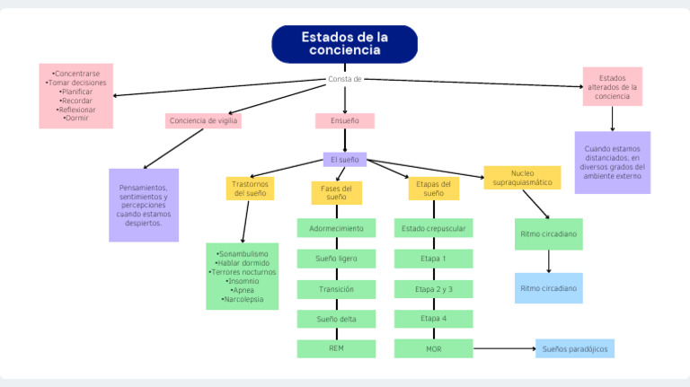 Estados De La Conciencia Pdf Dormir Movimiento Rápido Del Ojo Sueño
