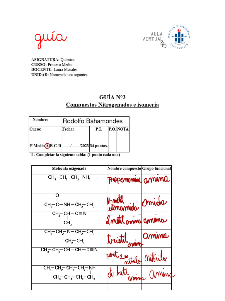 Trabajo Guía Química Compuestos Nitrogenados E Isomería Pdf Compuestos Orgánicos Amina 