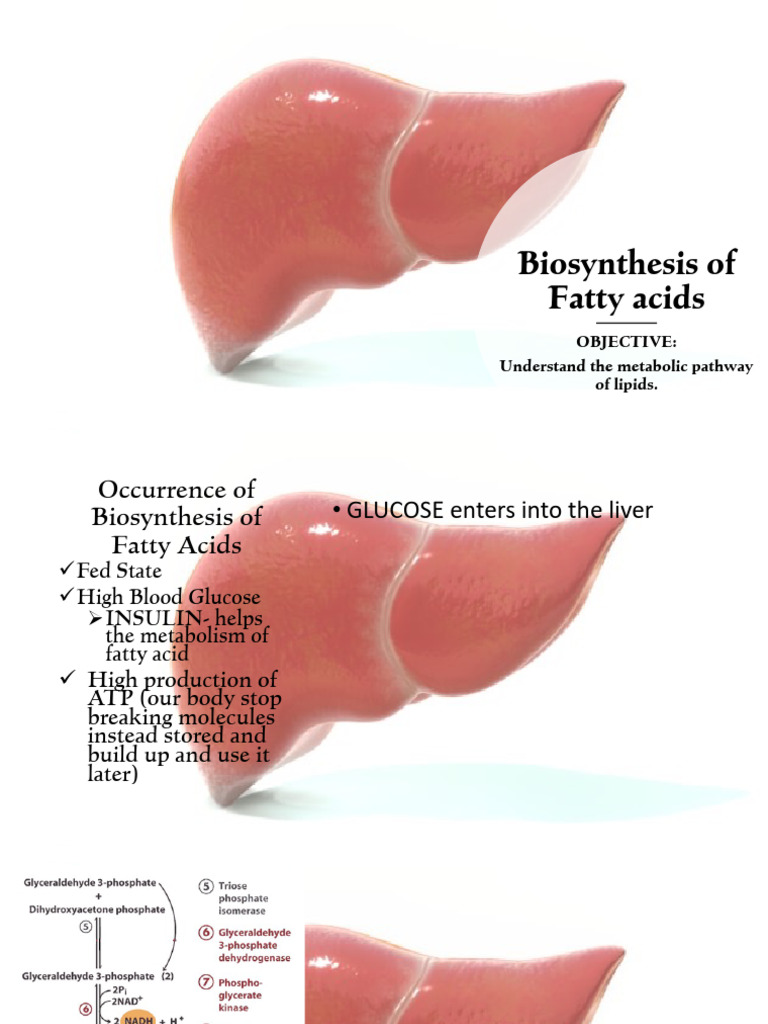Biosynthesis of LIpids | PDF | Nutrients | Physiology
