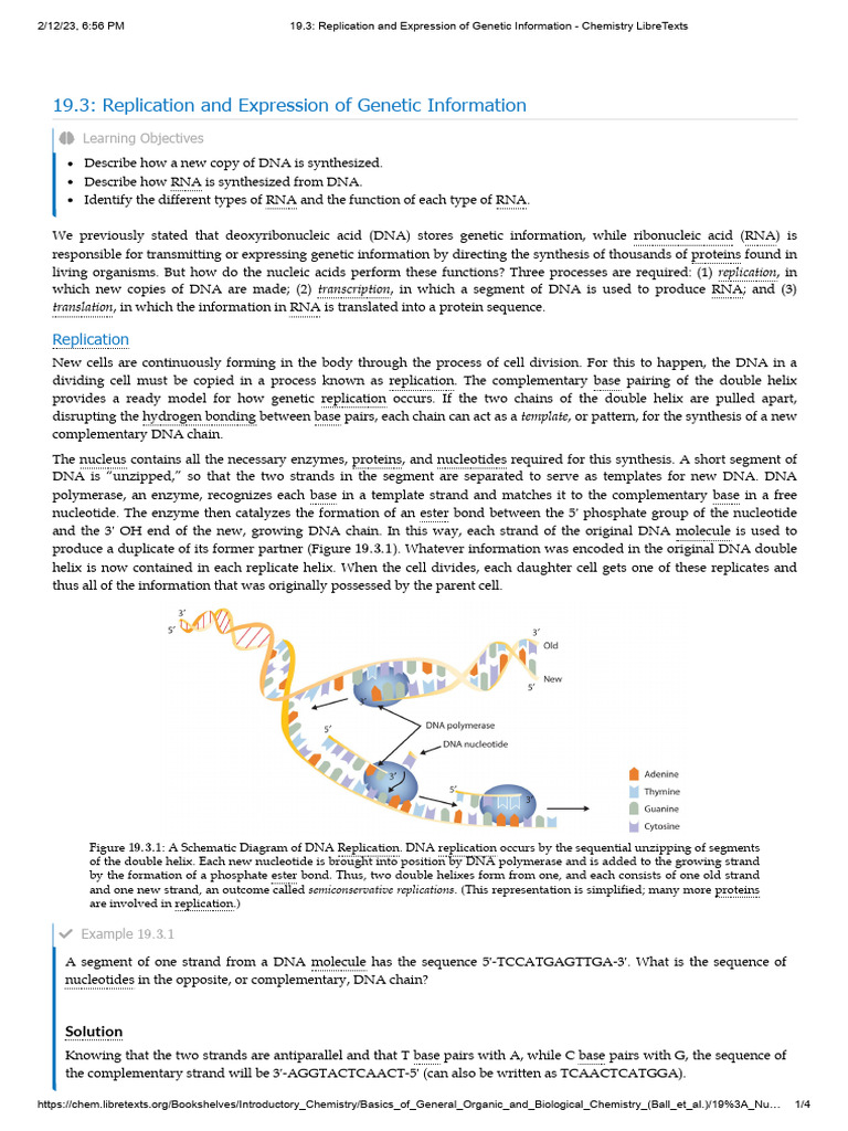 BIO 205 Replication and Expression of Genetic Information | PDF | Rna | Dna