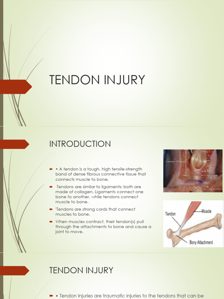 Tendon Injury & Treatment Guide | PDF