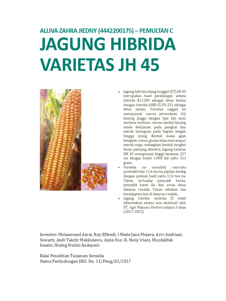 Jagung Varietas | PDF